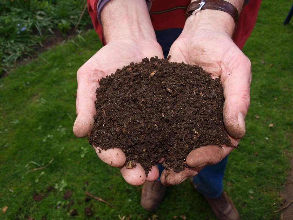 Is Organic Compost A Fertilizer? + How To Use It Properly - Above and ...