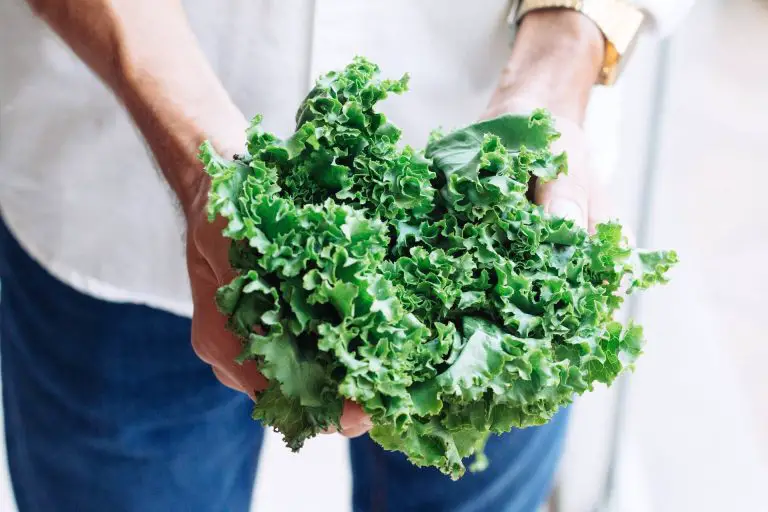 17 Companion Plants For Kale & What To Avoid!